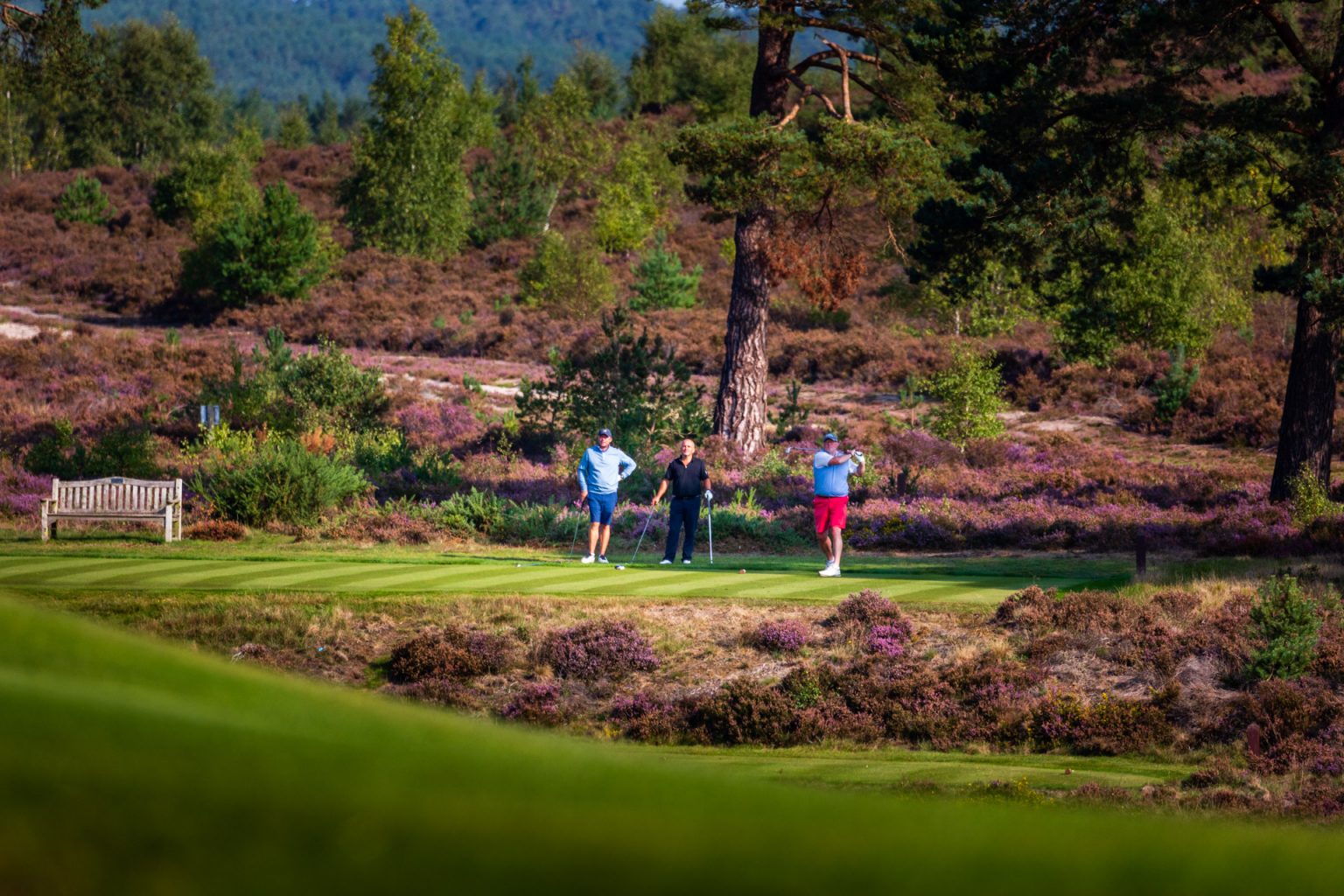Hankley Common Golf Club | Membership